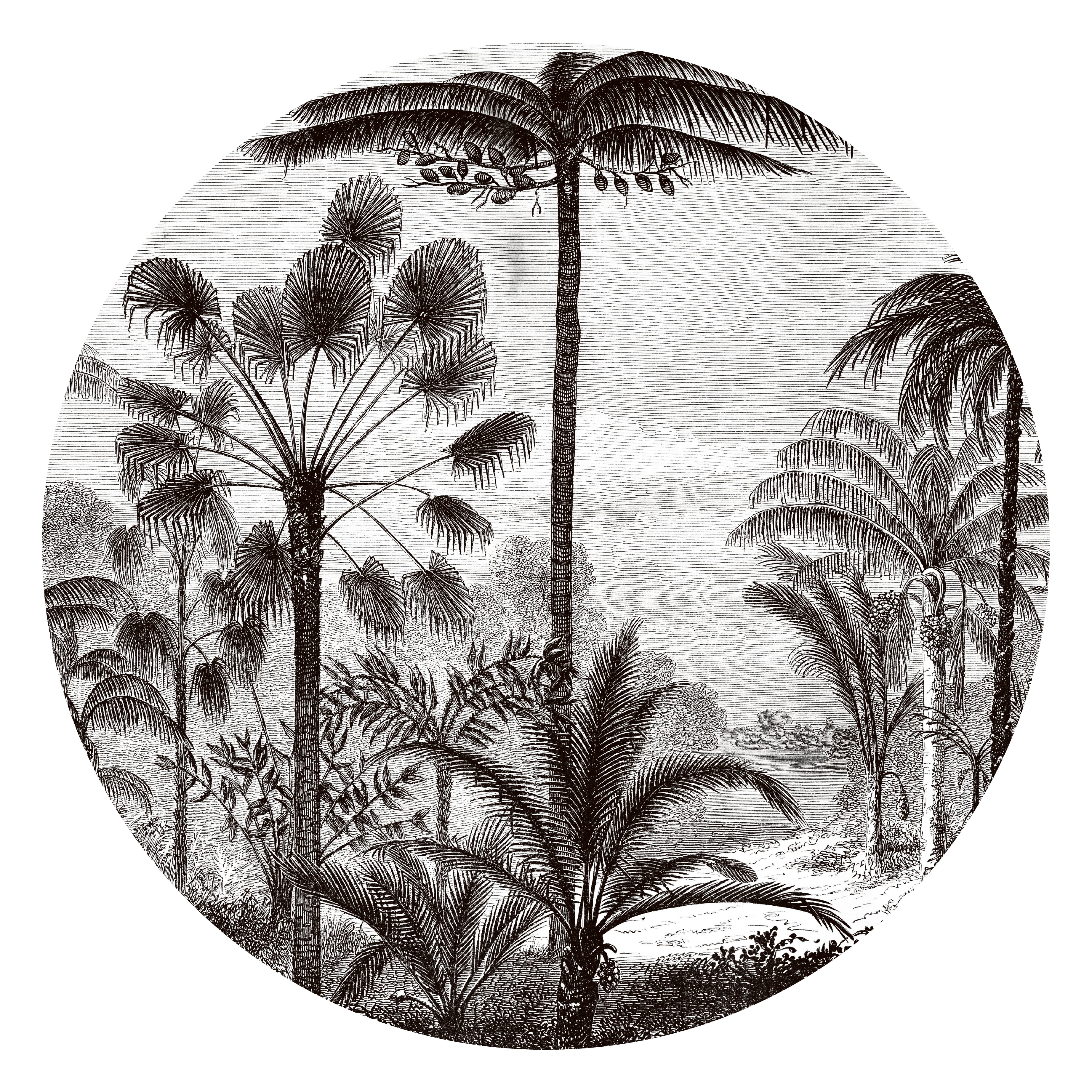 Vintage Tropical Etching Round Wall Sticker | Wall Decals | restowrap ...